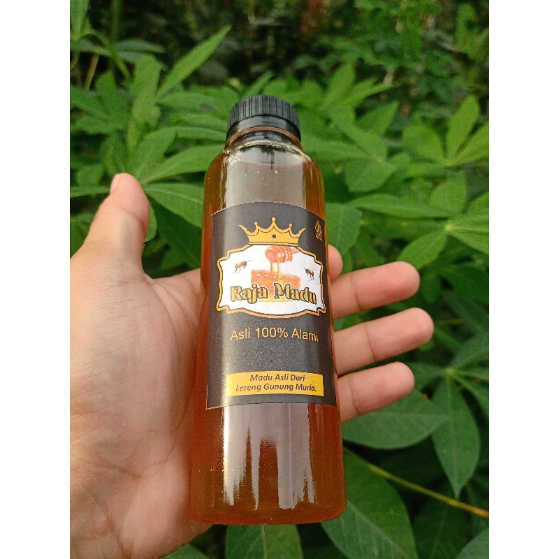 Jual Madu asli lereng gunung Muria, Honey, madu asli | Shopee Indonesia