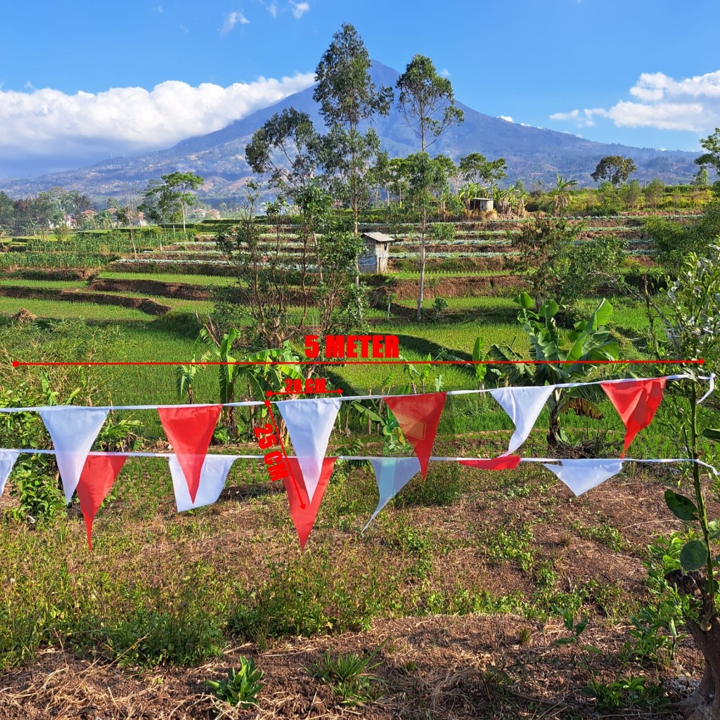 Jual BENDERA RENTENG SEGITIGA MERAH PUTIH MURAH | Shopee Indonesia