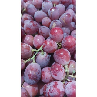 Jual Anggur 1 Kg Terlengkap & Harga Terbaru November 2025 | Shopee ...