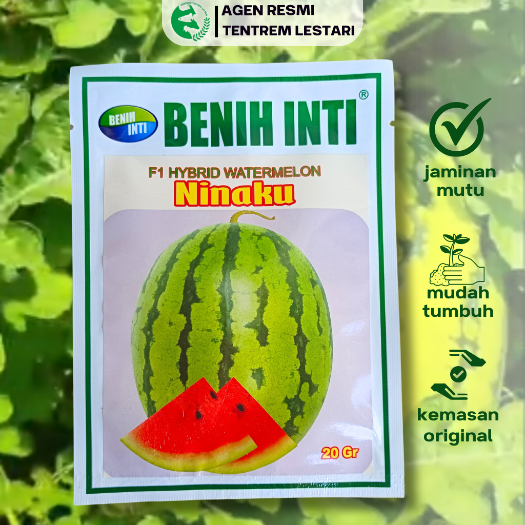Jual Benih Semangka F1 Hybrid NINAKU 20 gram Cap BENIH INTI Berkualitas ...