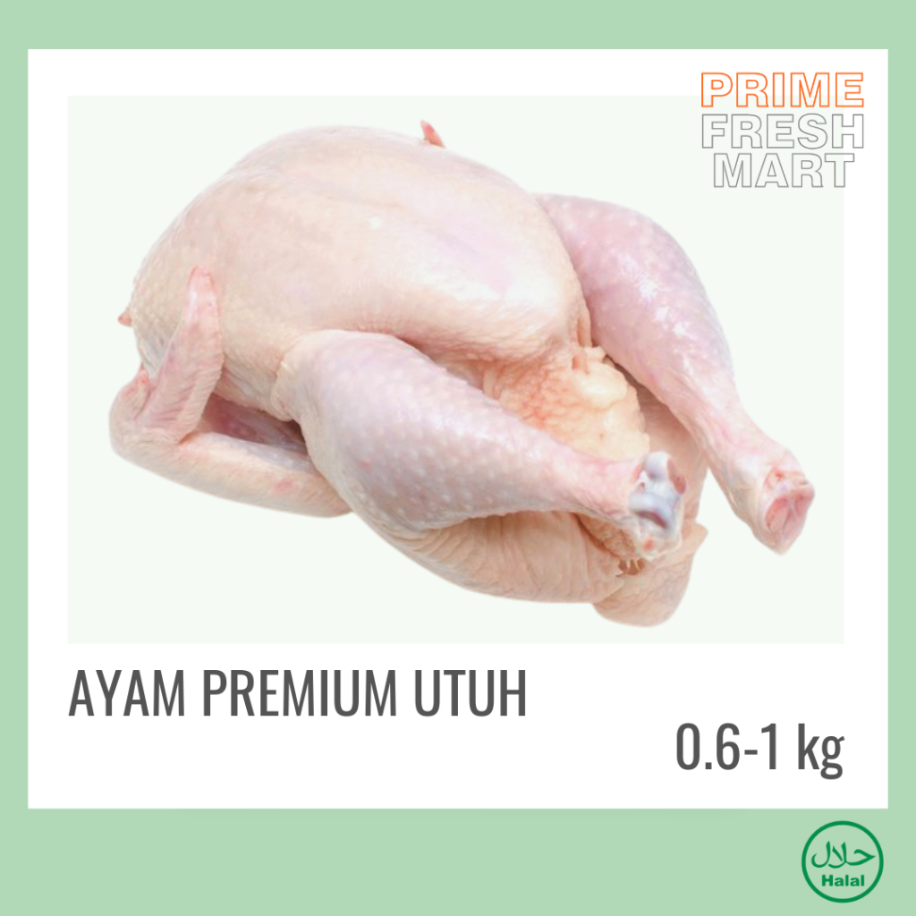 Jual Ayam Potong Premium 1 Ekor | Ayam Broiler Muda | Ayam Utuh ...