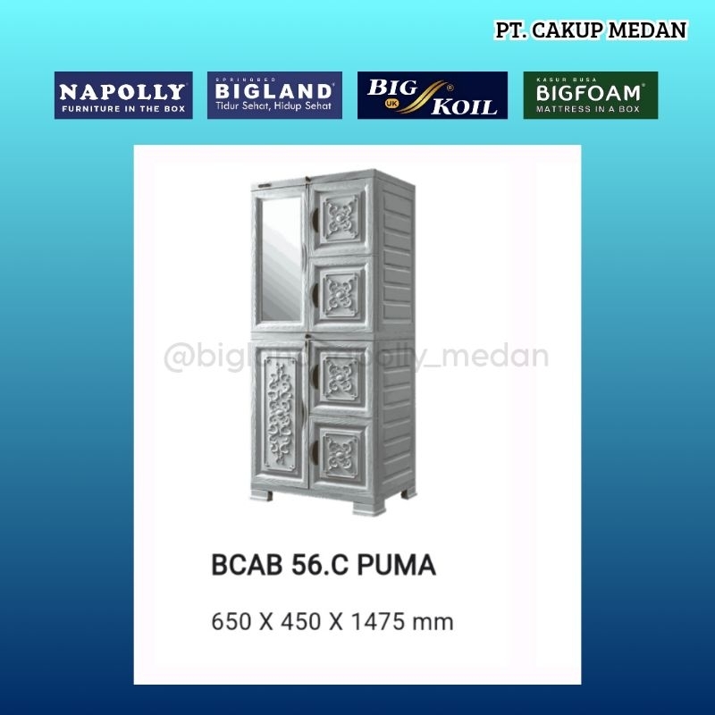Jual Lemari Plastik / Lemari Pakaian Merk Napolly BCAB-56. C | Shopee ...