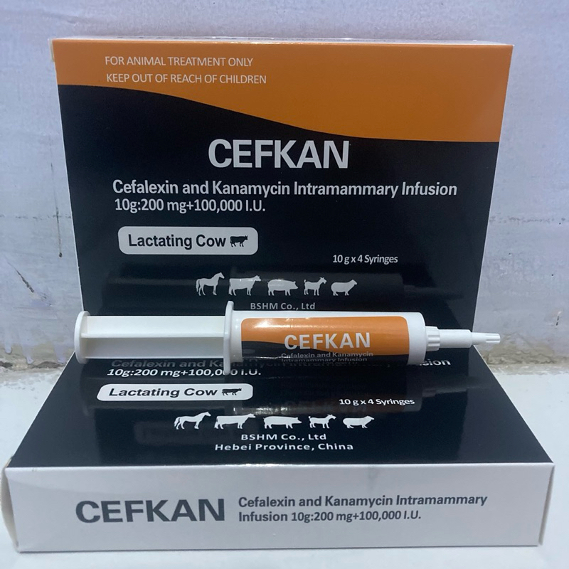 Jual CEFKAN obat mastitis pada sapi laktasi seperti BIOMYCIN, kanamycin ...
