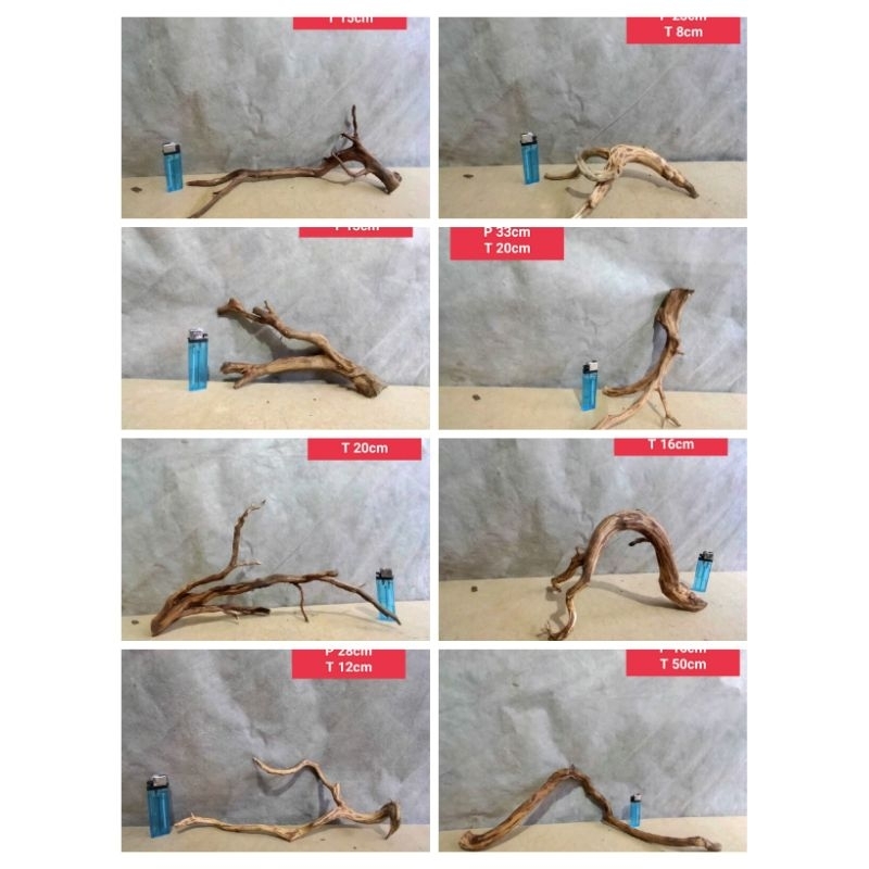 Jual akar Rasamala akar aquascape aquarium 321 SD 330 | Shopee Indonesia