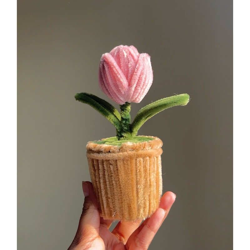 Jual POT BUNGA TULIP PIPE CLEANERS (KADO SIDANG/WISUDA/BIRTHDAY ...