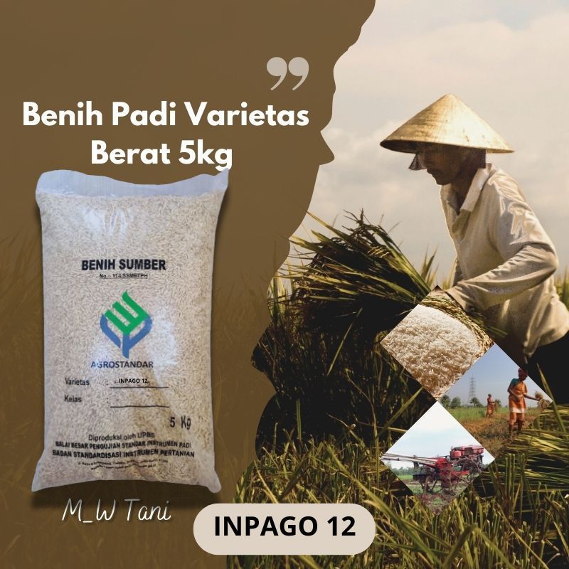 Jual BIBIT BENIH PADI VARIETAS INPAGO 12 BERAT 5KG | Shopee Indonesia