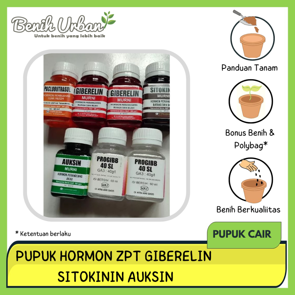 Jual HORMON ZPT GIBERELIN, AUKSIN, ANRIN, SITOKININ, ZAT PENGATUR ...