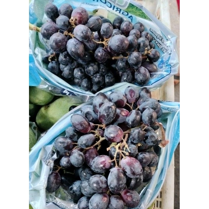 Jual Anggur Seedless (1kg) | Shopee Indonesia