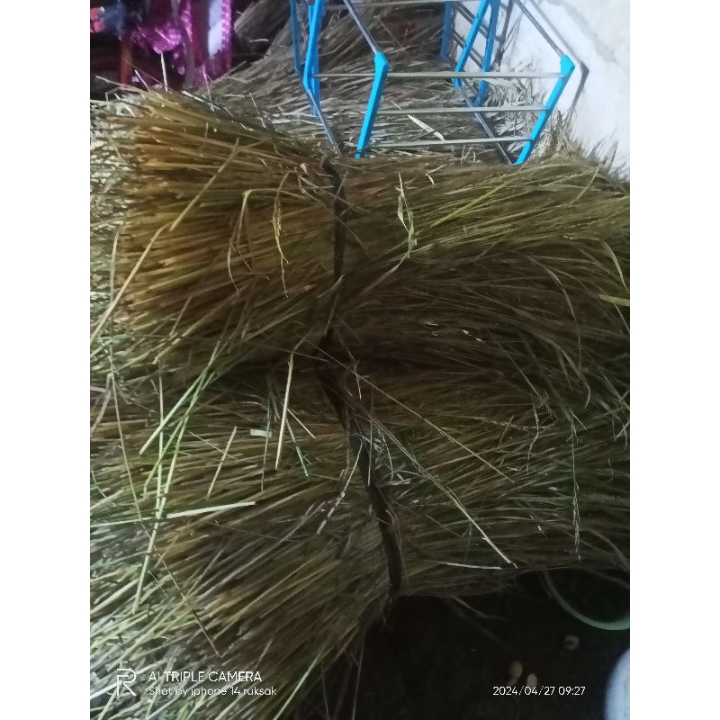 Jual promo jerami kering murah bersih 1kg.. bahan dekorasi dan lain ...