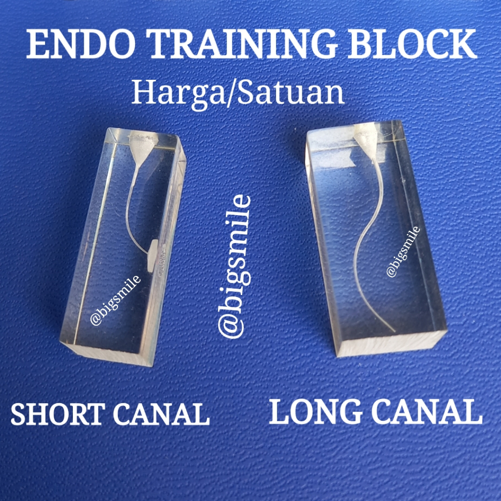 Jual ENDO TRAINING BLOCK MODEL Perawatan Saluran Akar PREMIUM QUALITY ...