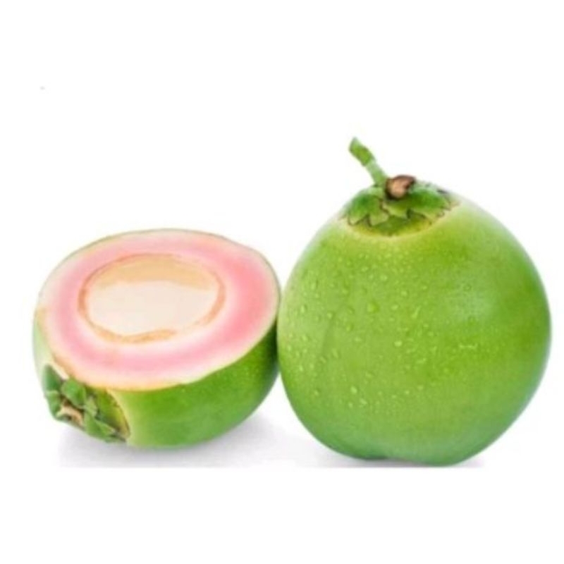 Jual kelapa ijo kelapa wulung per butir | Shopee Indonesia