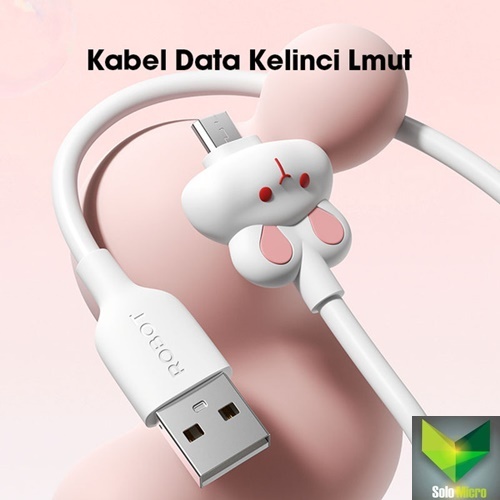 Jual ROBOT RPM100 RPC100 RPL100 Rabbit 3A Micro Type C Lightning 100cm ...