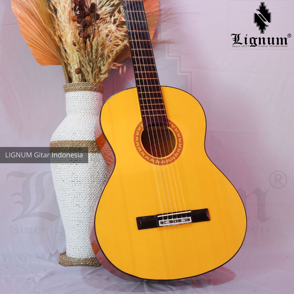 Jual Gitar Klasik / Gitar Clasik Lignum Senar Nylon seri 12 (Gratis ...