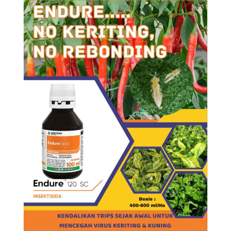 Jual Insektisida Endure 120 SC 100 ml | Shopee Indonesia