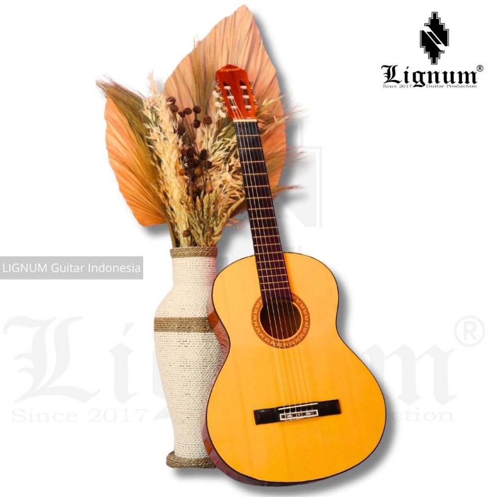 Jual Gitar Klasik / Gitar Classik Yamaha C315 Seri 06 (Gratis Peking ...