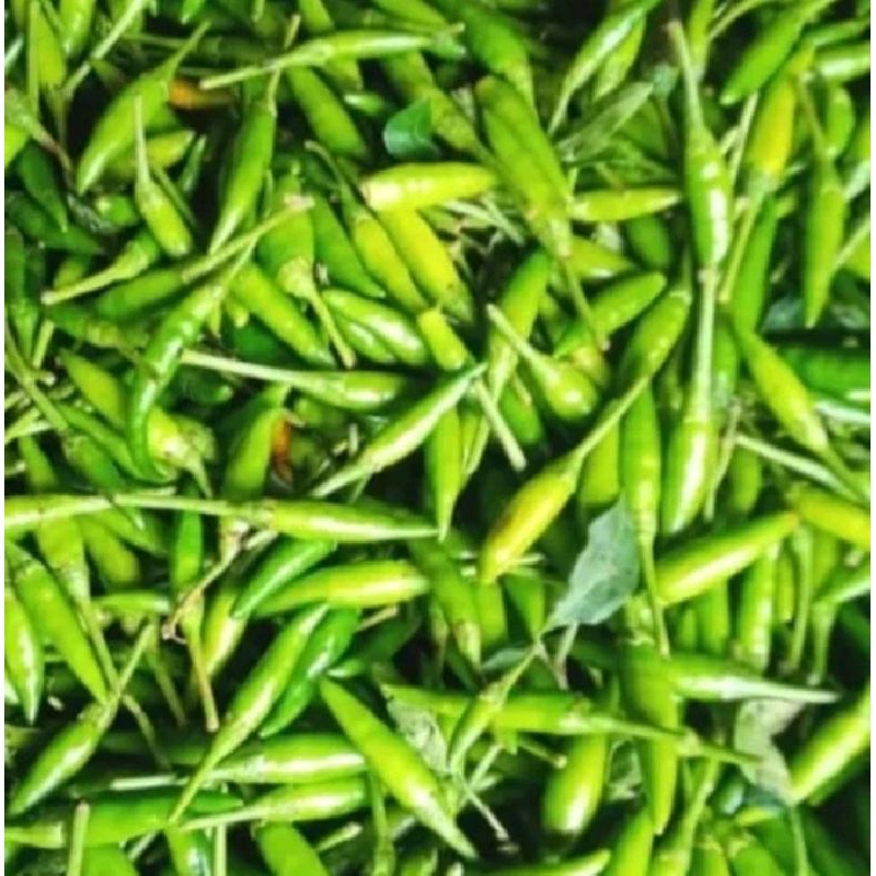 Jual cabe rawit cabai hijau cabai segar 1kg fresh | Shopee Indonesia