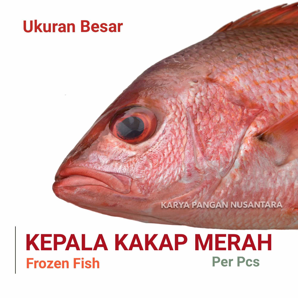 Jual KEPALA KAKAP MERAH FRESH FROZEN FISH KEPALA IKAN RED SNAPPER PER ...