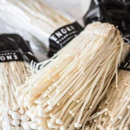 Jual Jamur Enoki Segar 1 pack | Jamur Enoki 1 dus Segar | Enoki ...
