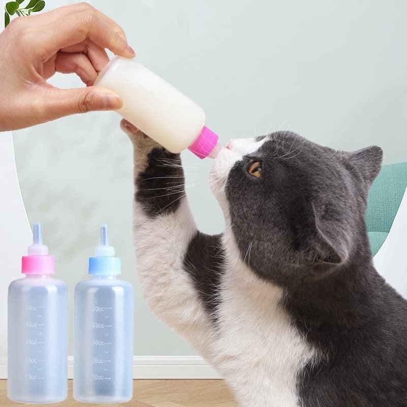 Jual Botol Dot Susu Minum Kitten Kucing Anjing 50 ML | Shopee Indonesia