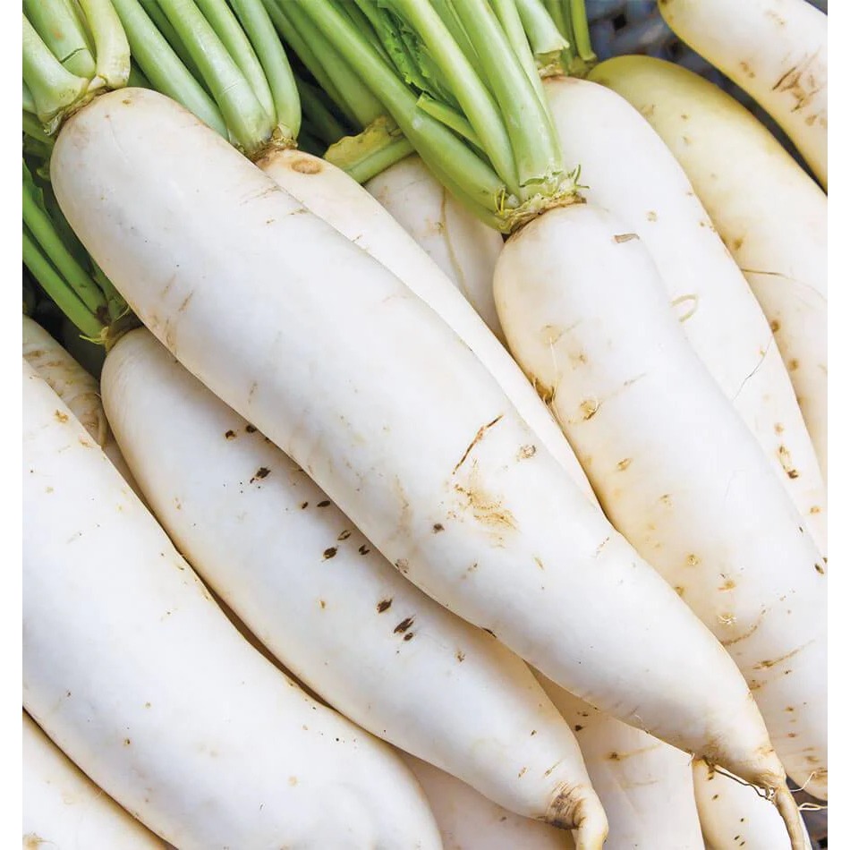 Jual LOBAK PUTIH SEGAR 1 KG SAYUR SEGAR | FRESH GOOD QUALITY | Shopee ...