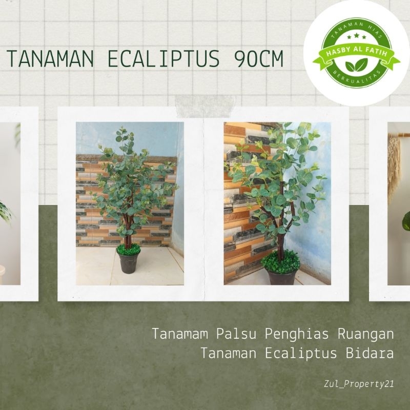 Jual Tanaman Palsu Bidara / Tanaman Palsu Ecaliptus 90cm | Shopee Indonesia
