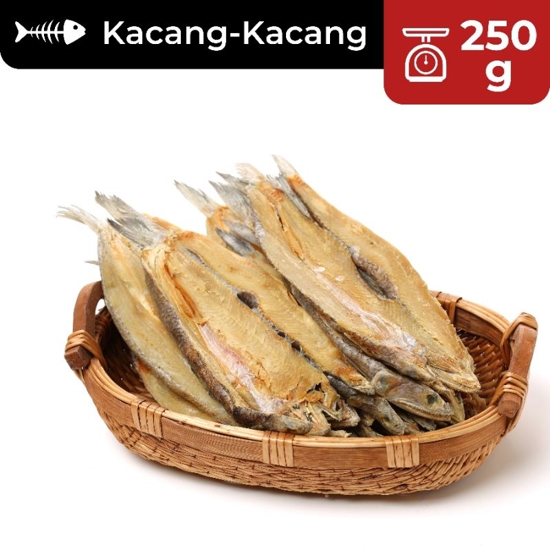 Jual 250g Ikan Asin Kacang Kacang SUPER / Ikan Asin Bloso / Ikan Asin ...