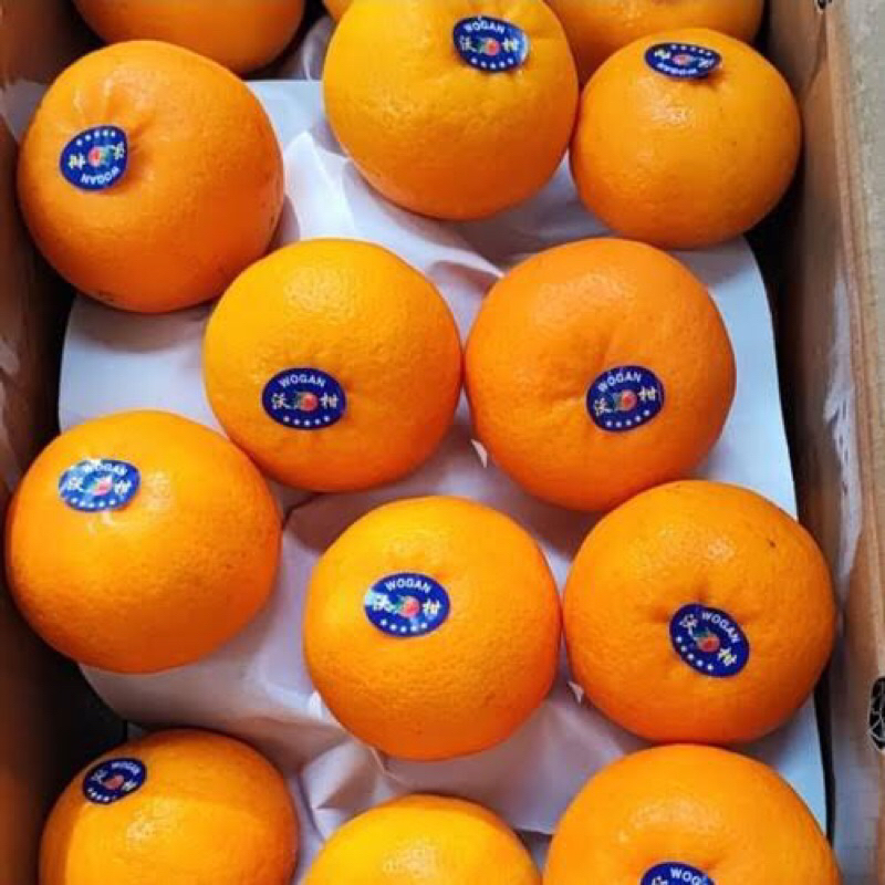 Jual Jeruk Wogan Premium 1kg | Shopee Indonesia