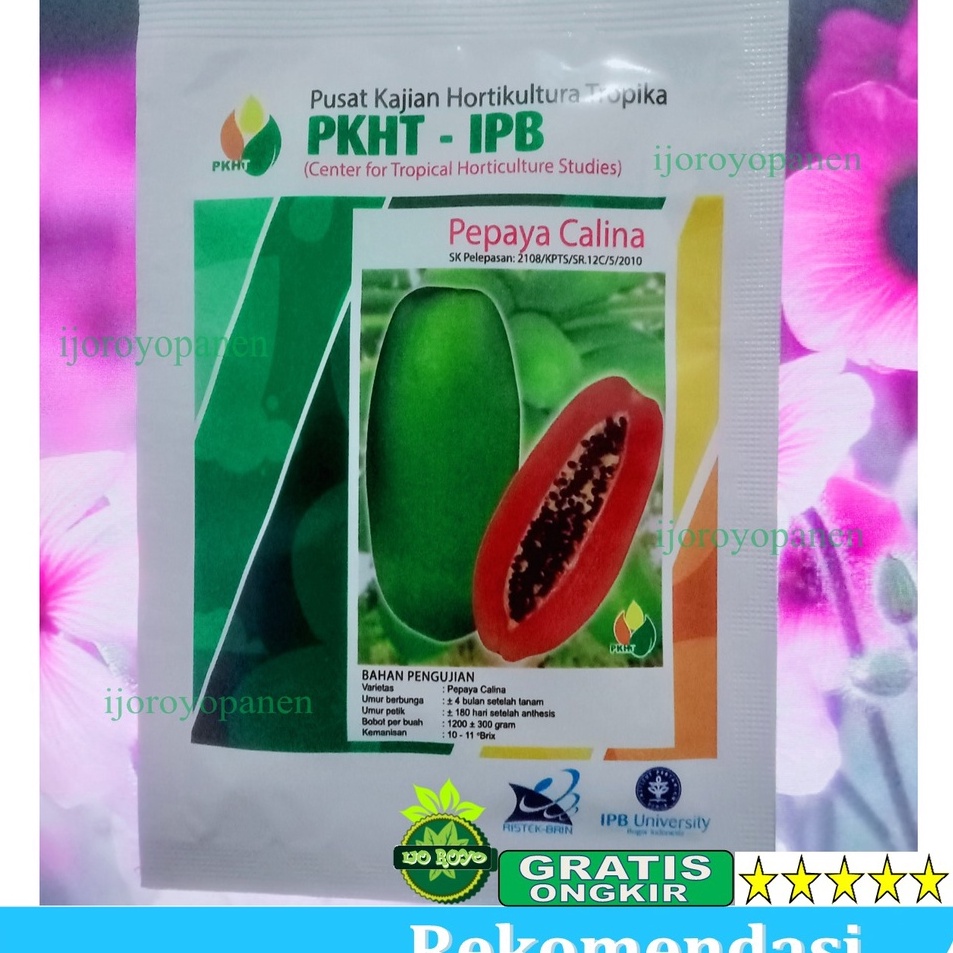 Jual Paket Hemat BENIH PEPAYA CALINA CALIFORNIA IPB ISI 25 butir PKHT ...