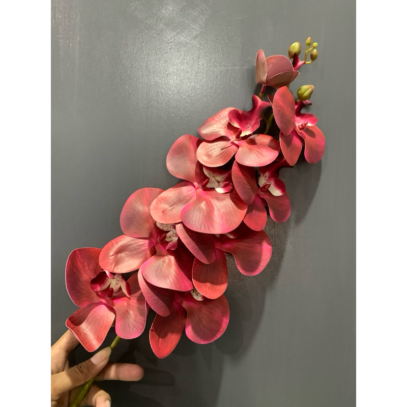 Jual ANGGREK LATEK JUMBO 3 CABANG / VAS BUNGA AESTHETIC/ RANGKAIAN ...