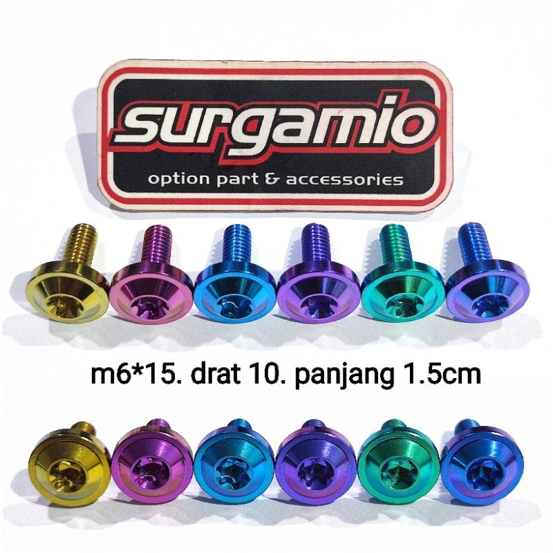 Jual Baut Titanium Big Head 6x15 Baut Titan Drat 10 Panjang 1.5cm GR5 Vietnam (1pcs) | Shopee ...