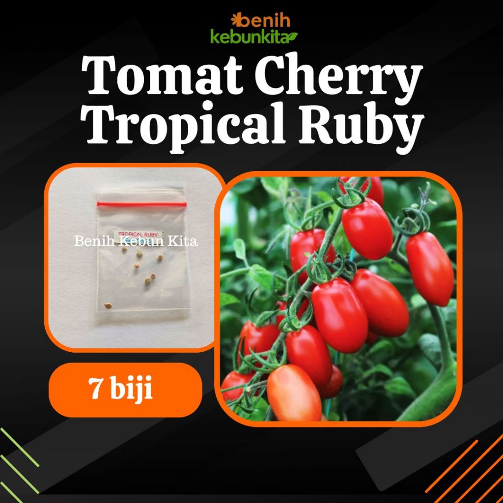 Jual Benih Tomat Cherry Tropical Ruby Biji Tanaman Tomat Ceri Tropical Ruby | Shopee Indonesia