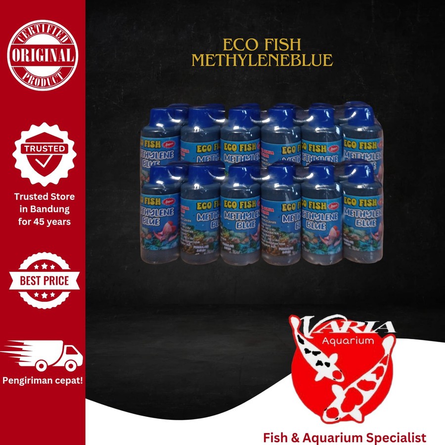 Jual Eco Fish Methylene Blue Obat Ikan Hias Jamur dan White Spot 100ml ...