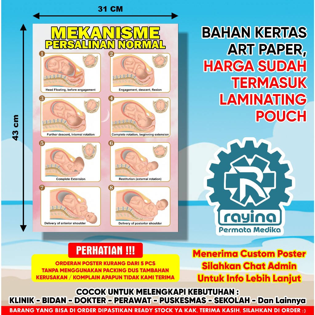 Jual Poster Mekanisme Persalinan Normal | Shopee Indonesia