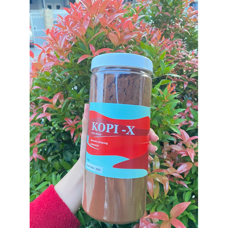Jual Biji Kopi Bubuk Robusta Lampung petik merah Coffee 500gr | Shopee ...
