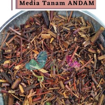 Jual Ready Stok ANDAM Media Tanam Organik dari Pakis Bambu Fermentasi ...
