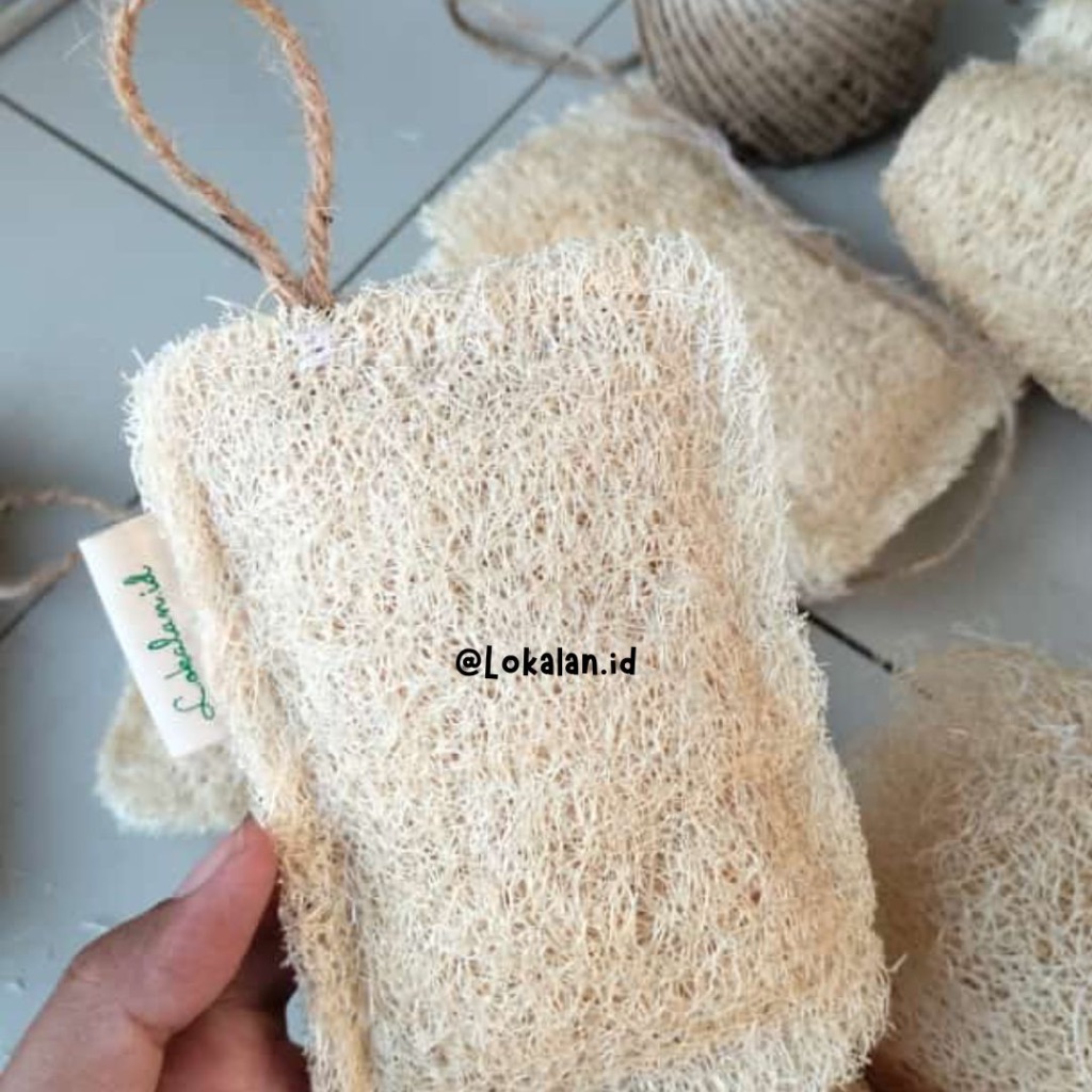 Jual Loofah Pad Luffa Gambas Kering Oyong Scrub Mandi Shower Puff Spons ...
