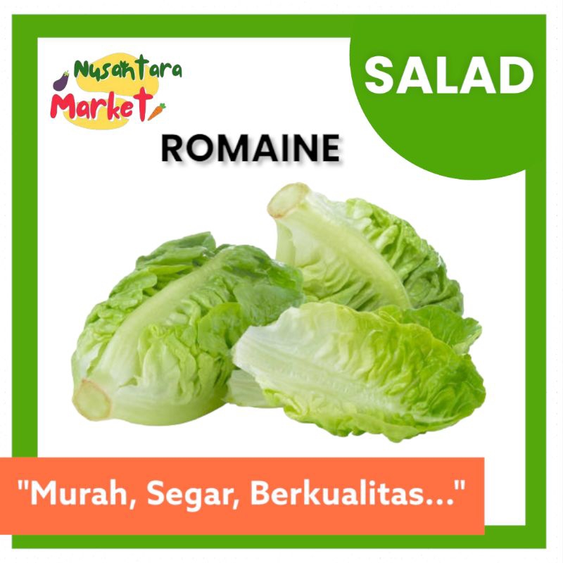 Jual ROMAINE LETTUCE | SALAD | 500GR | NUSANTARA MARKET | Shopee Indonesia
