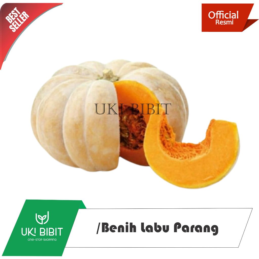 Jual ( 1 Kg ) Benih Labu Parang | Labu kuning | Waluh Besar | Waloh ...