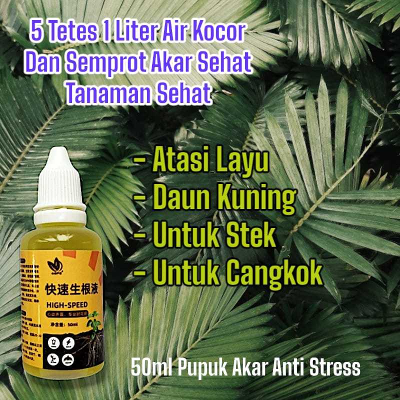 Jual Pupuk Hormon Akar High Speed Untuk Daun Kuning Akar Sehat Daun ...