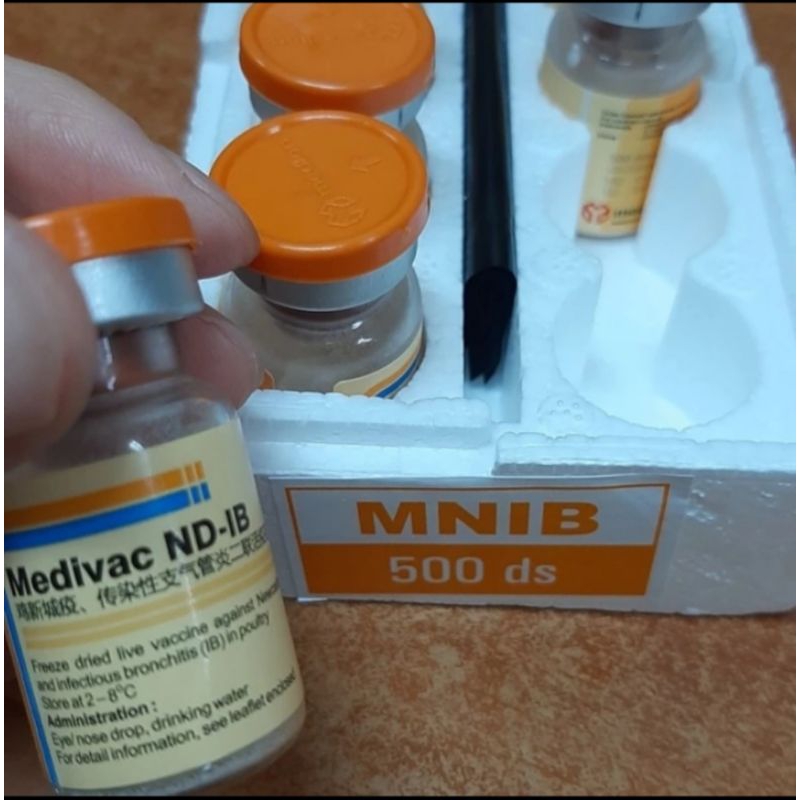 Jual vaksin Medion mendivac ND-IB 500ds | Shopee Indonesia