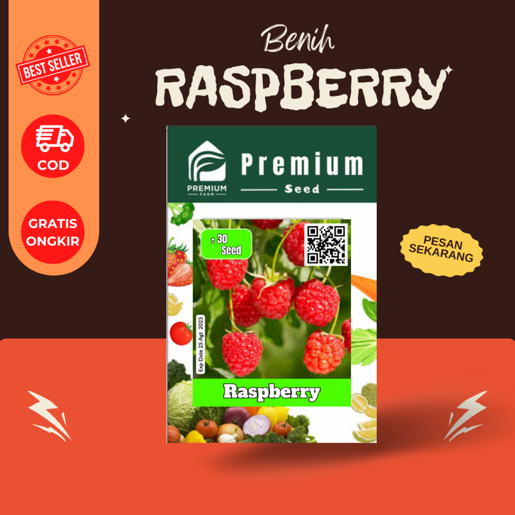 Jual Benih RASPBERRY Rasa Manis Buah Lebat Pertumbuhan Cepat | Shopee ...