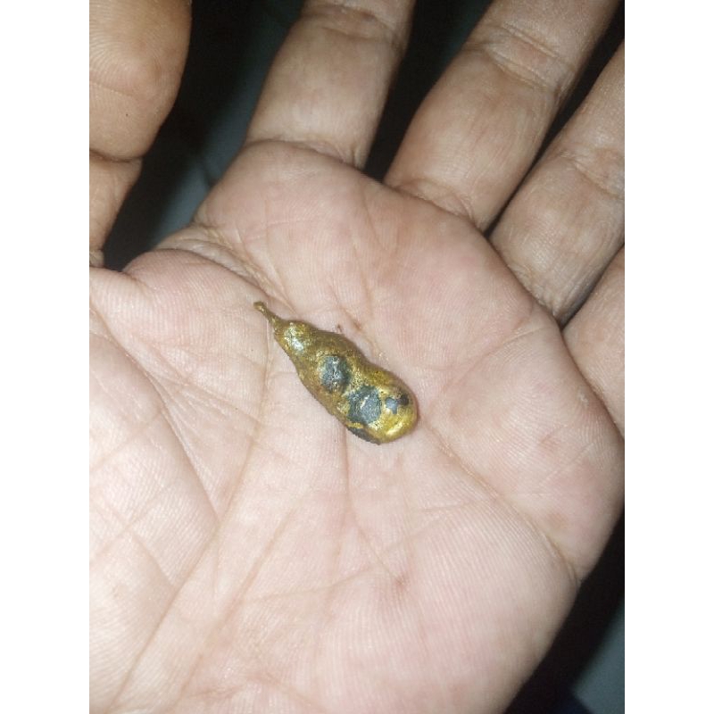 Jual besi kuning kepompong | Shopee Indonesia
