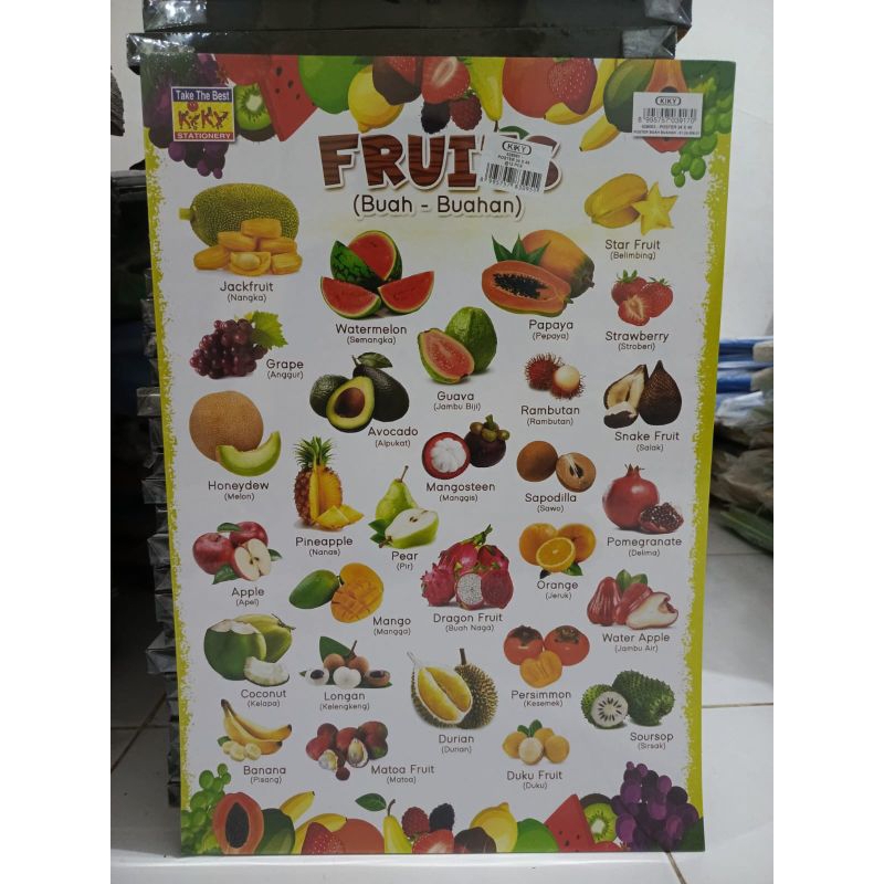 Jual POSTER DINDING EDUKASI ANAK | Shopee Indonesia