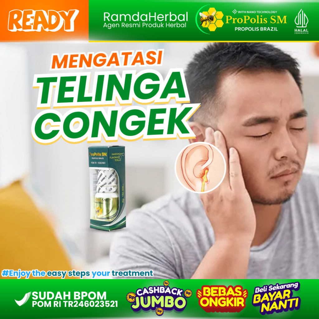 Jual Propolis sm Obat Tetes Telinga Congek Conge Bernanah Telinga ...