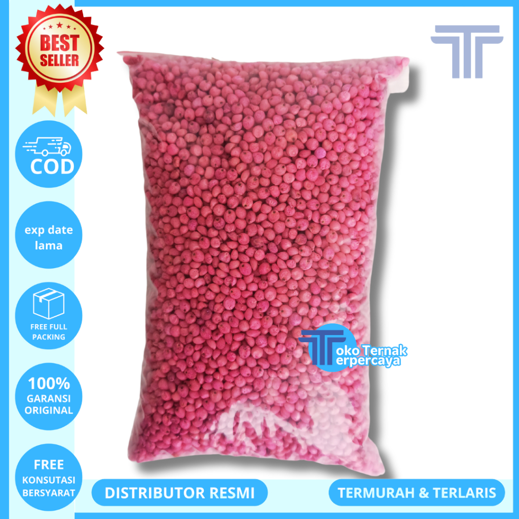 Jual BENIH SORGUM BIOGUMA TIPE 2 - Benih Sorghum Biji Sorghum Sumber ...