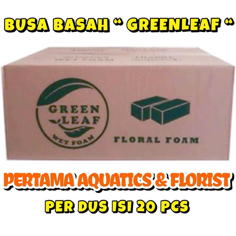 Jual HARGA DUS ISI 20 PCS BUSA BASAH GREENLEAF GREEN LEAF/ Wet Foam ...