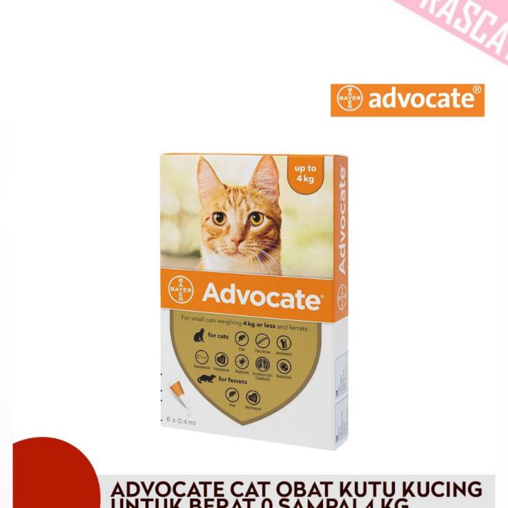 Jual Ready Favorit Advocate Cat Small 4kg 1 Tube Obat Kutu Kucing ...