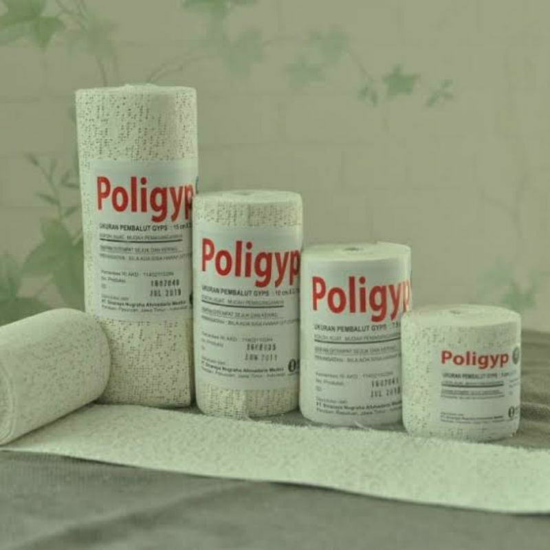 Jual poligyp 15 cm | Shopee Indonesia