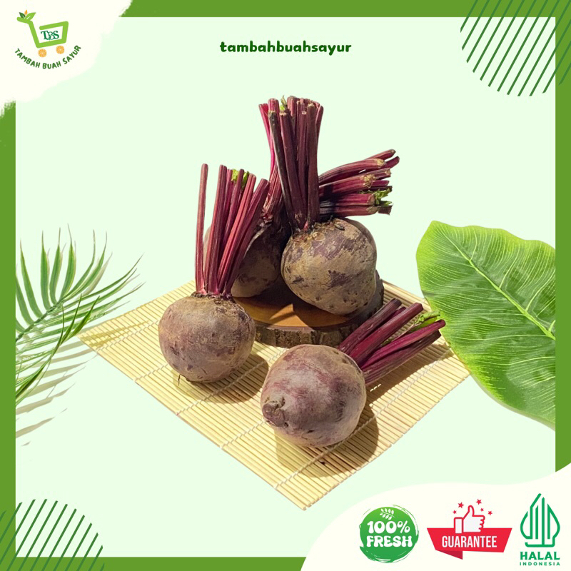 Jual BUAH BIT FRESH | BEET ROOT 1 KG | Shopee Indonesia