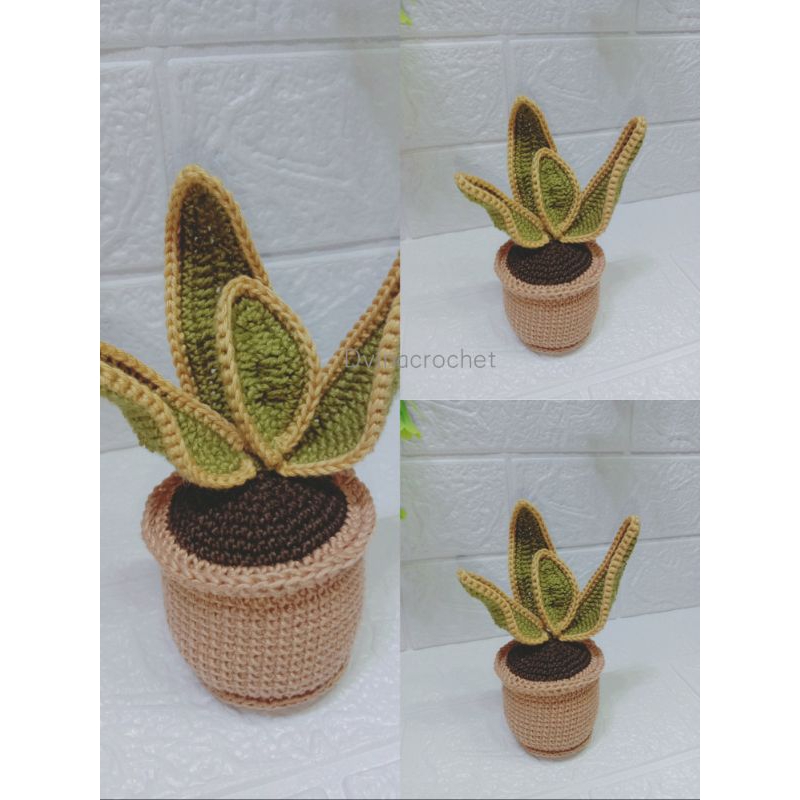 Jual Amigurumi/bunga lidah mertua/sansevieria/snake plant rajut/crochet ...